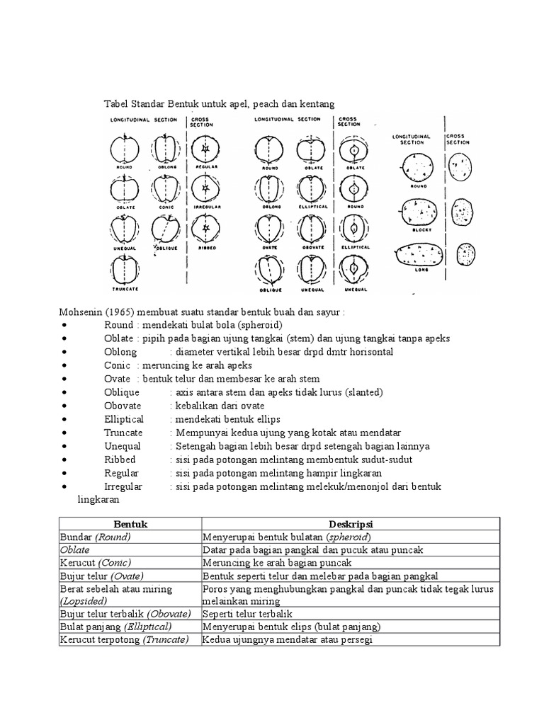 Standar Bentuk Buah dan Sayur | PDF