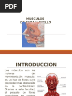 Función y Anatomía del Músculo Mentoniano | PDF | Cara | Anatomía humana