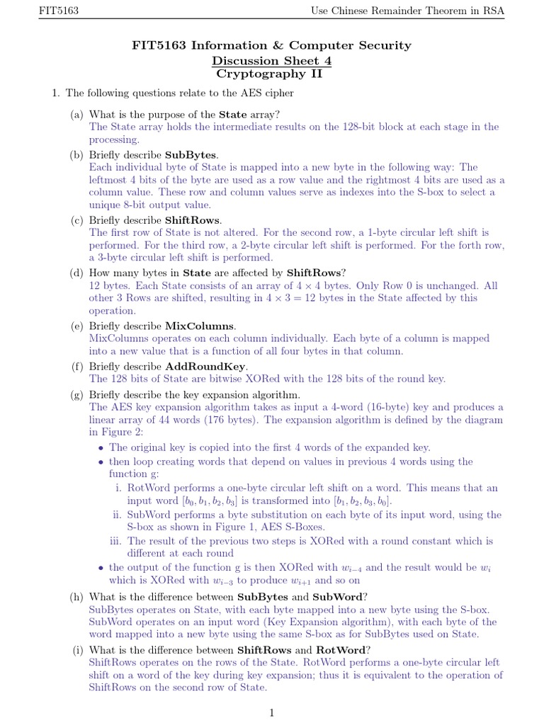 AES Discussion Sheet | PDF | Key (Cryptography) | Password