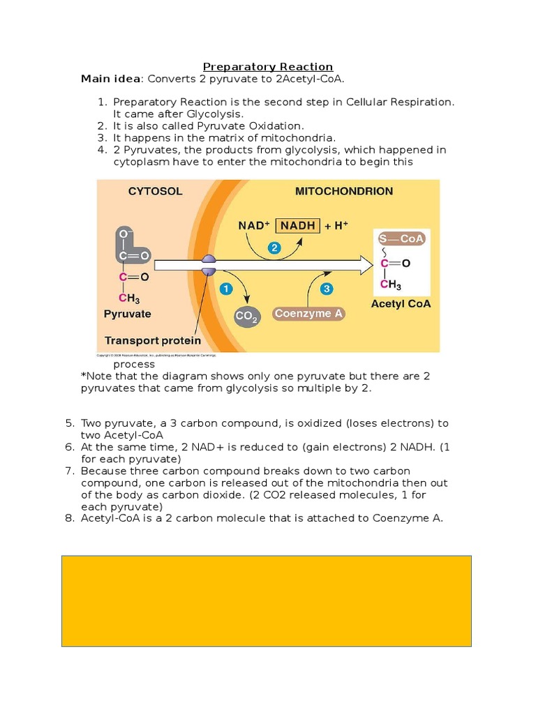preparatory reaction-2 | Biochemistry | Metabolism