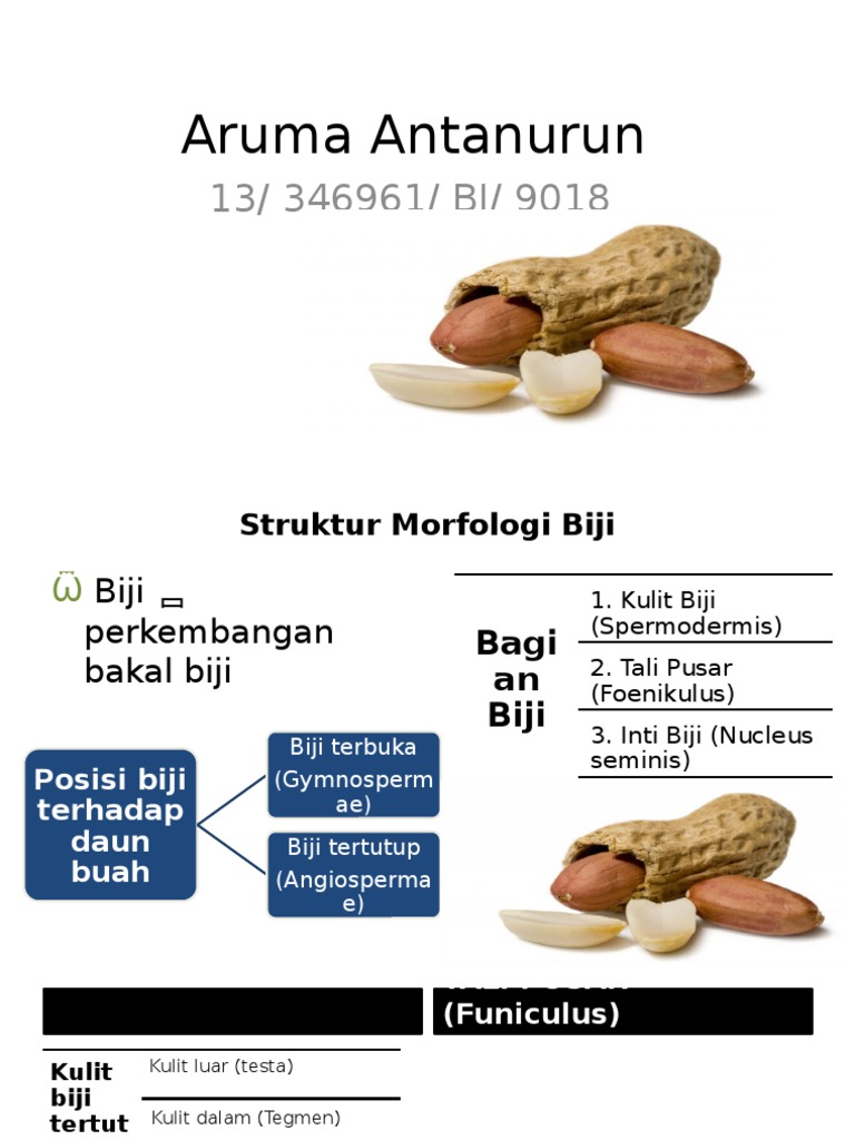Aruma Antanurun | PDF