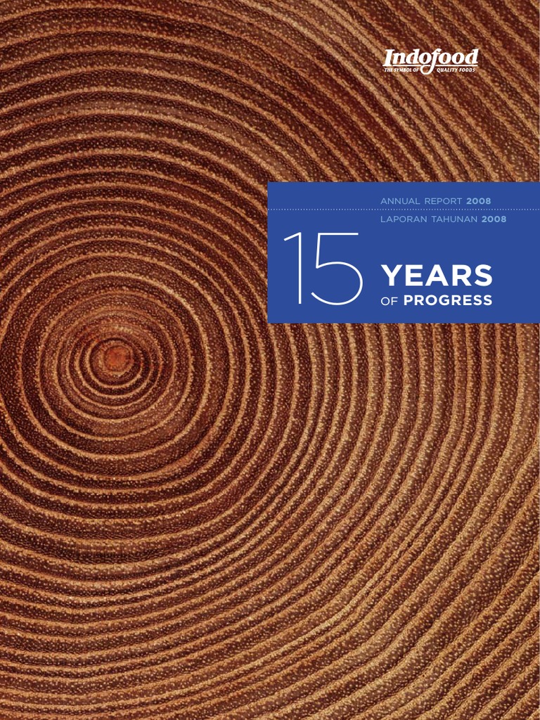 Indf Ar 2008 | PDF | Business