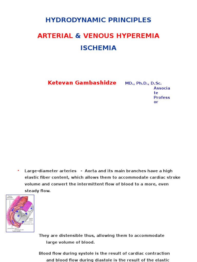 HYDRODYNAMIC PRINCIPLES OF BLOOD FLOW | PDF | Ischemia | Artery