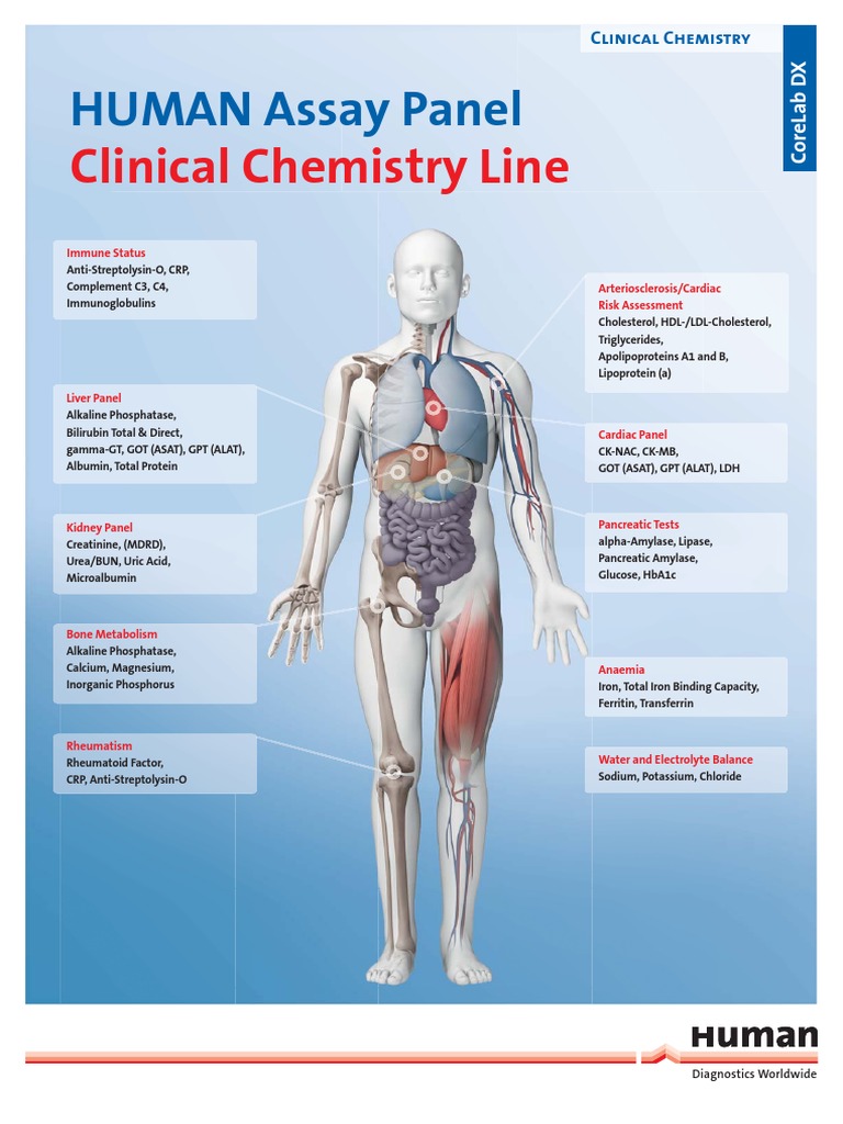 Clinical Chemistry Line: HUMAN Assay Panel | PDF