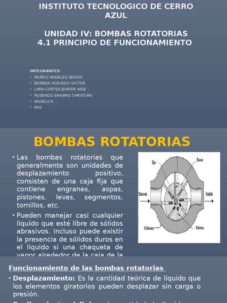 Cálculo y Funcionamiento de Bombas Rotatorias | PDF | Bomba | Líquidos