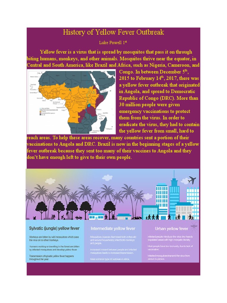 Yellow Fever Outbreak Origins and Impact | PDF