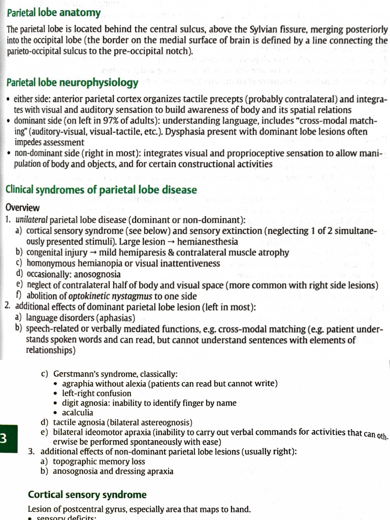 Parietal Lobe Syndrome | PDF