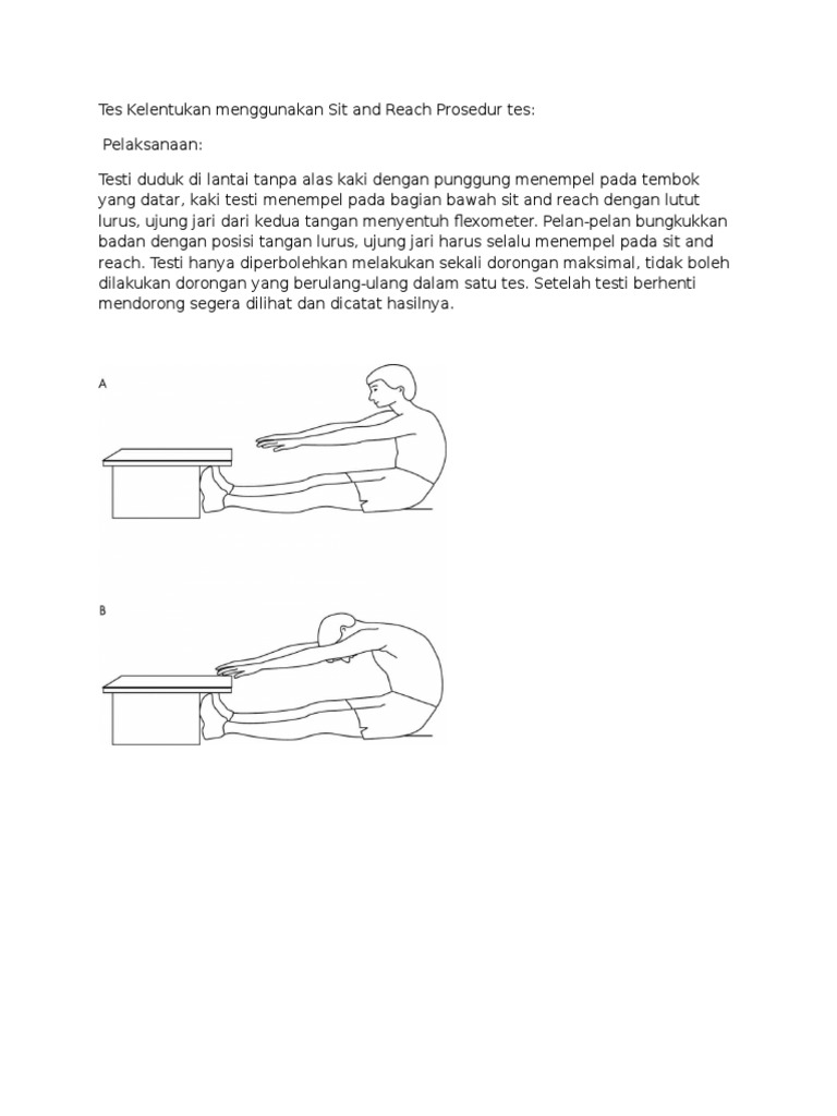 Sit and Reach Test