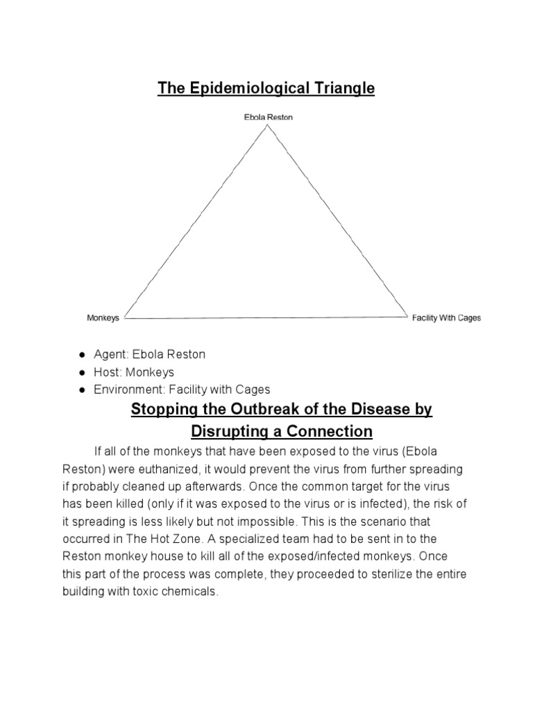 Epidemiologicaltriangle | PDF