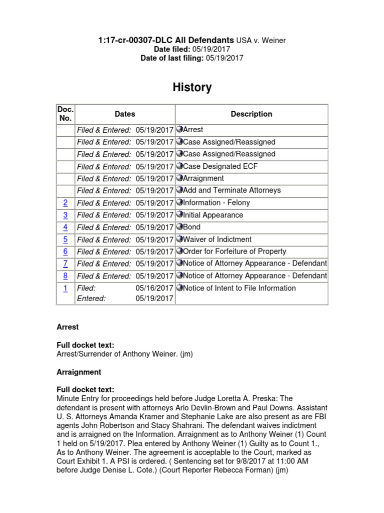U.S. v. Anthony Weiner Case Files 1:17-cr-00307-DLC May 19, 2017 | PDF ...