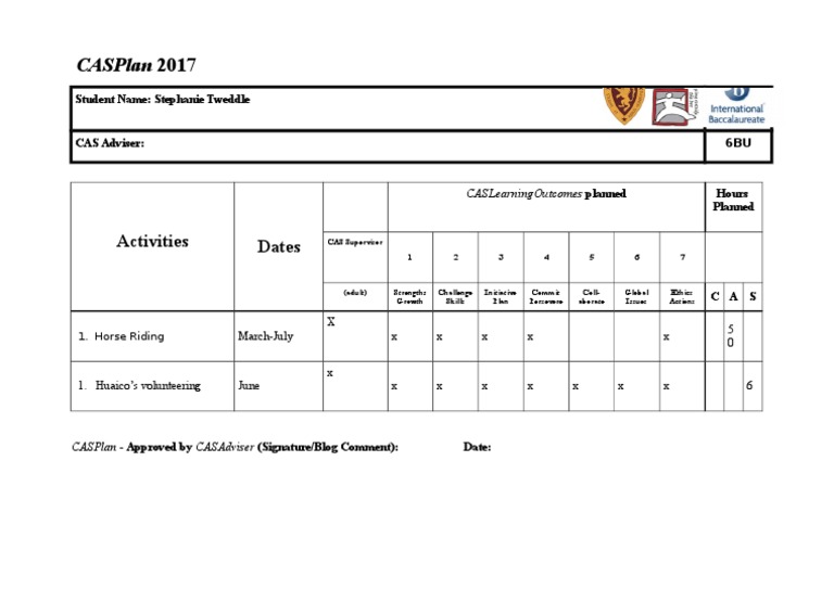 Cas Plan 2017 Word | PDF
