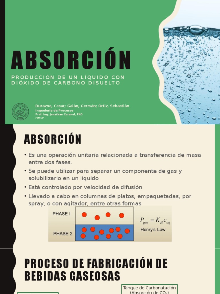 Proceso de Carbonatación de Bebidas | PDF | Absorción (Química ...