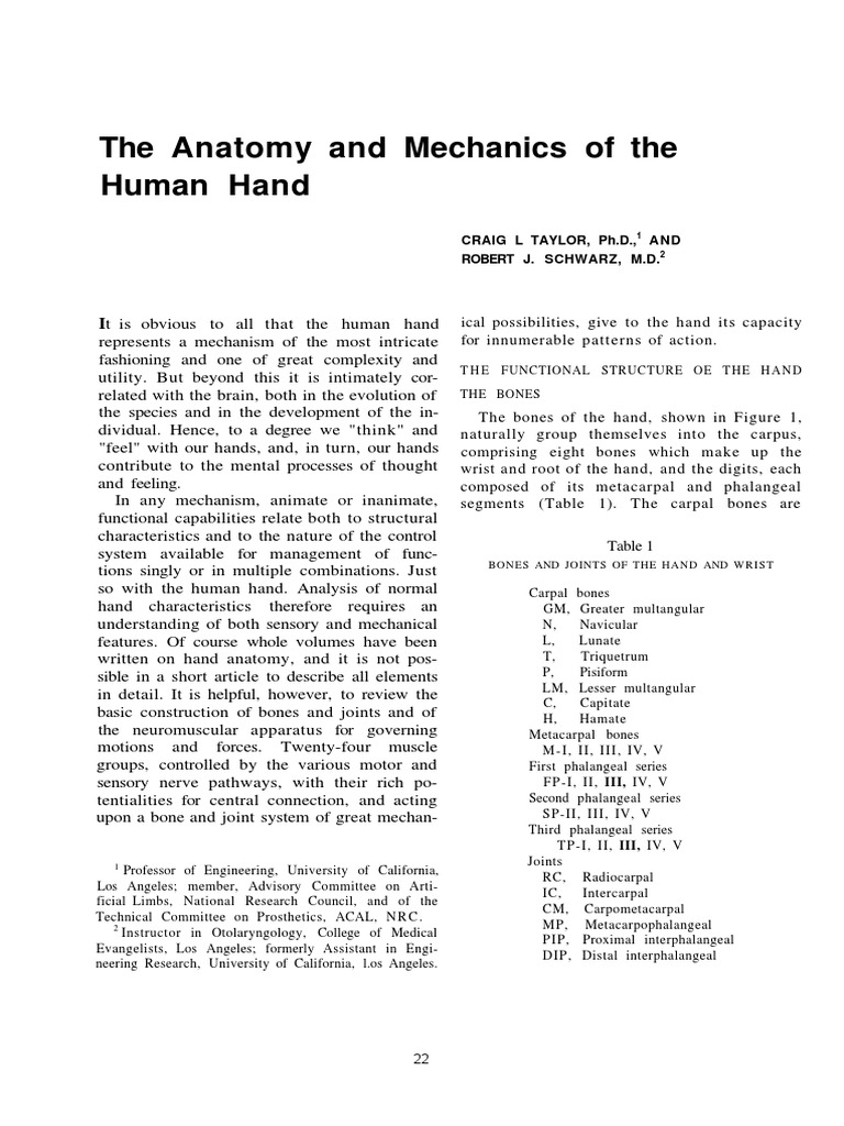 Anatomy and Mechanics of The Human Hand | PDF | Hand | Thumb