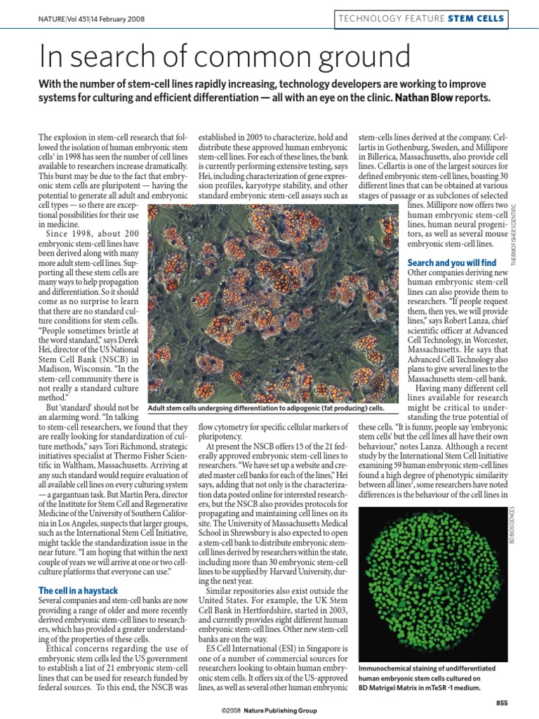 In Search of Common Ground: Search and You Will Find | PDF | Stem Cell ...
