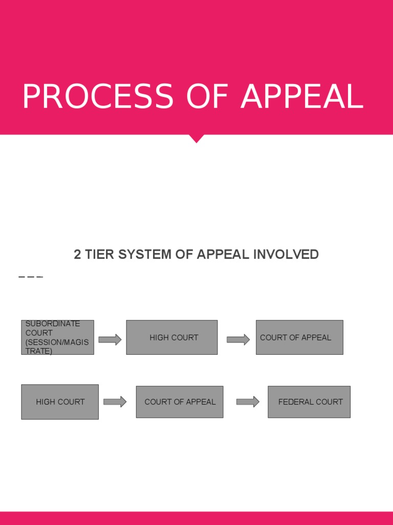 Process of Appeal | PDF | Court Of Appeal Of Singapore | Judgment (Law)