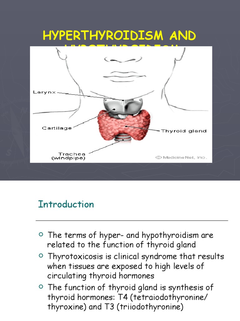 Hyperthyroid and Hypothyroid | Hyperthyroidism | Thyroid