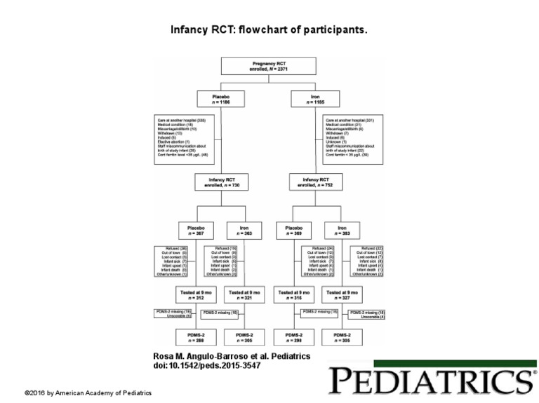 Infancy RCT: Flowchart of Participants.: Rosa M. Angulo-Barroso Et Al ...