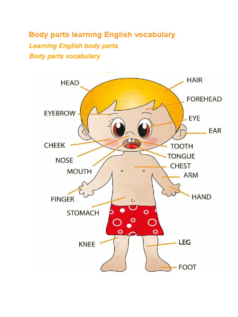 English Body Parts Vocabulary Guide | PDF | Foreign Language Studies ...