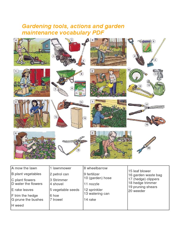 Gardening Tools & Actions Vocabulary PDF | PDF | Home & Garden