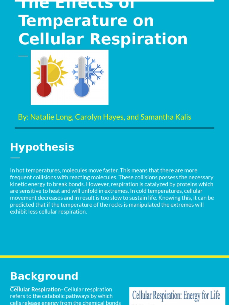 Photosynthesis and Cellular Respiration Lab | PDF | Cellular ...