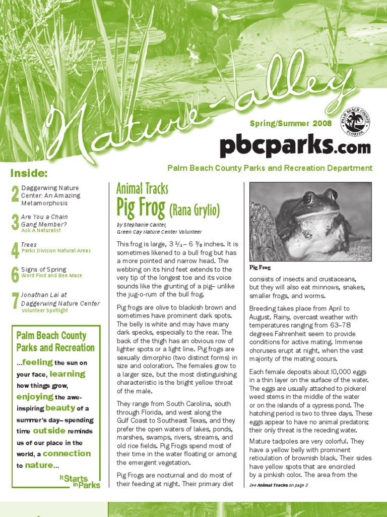Spring-Summer 2008 Nature Alley Newsletter Daggerwing Nature Center ...