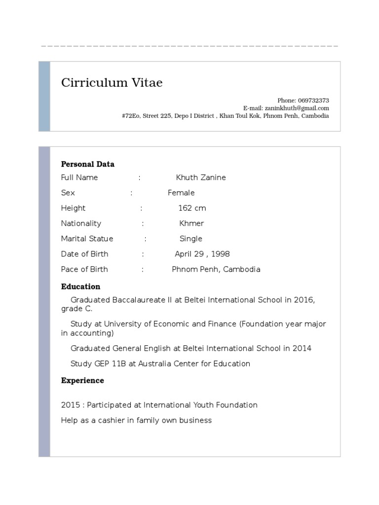 Khuth Zanine's Professional CV | PDF