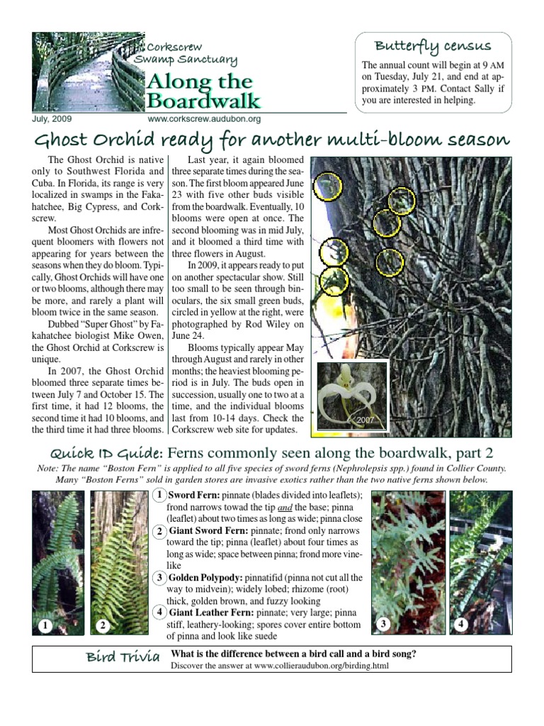 July 2009 Along The Boardwalk Newsletter Corkscrew Swamp Sanctuary ...