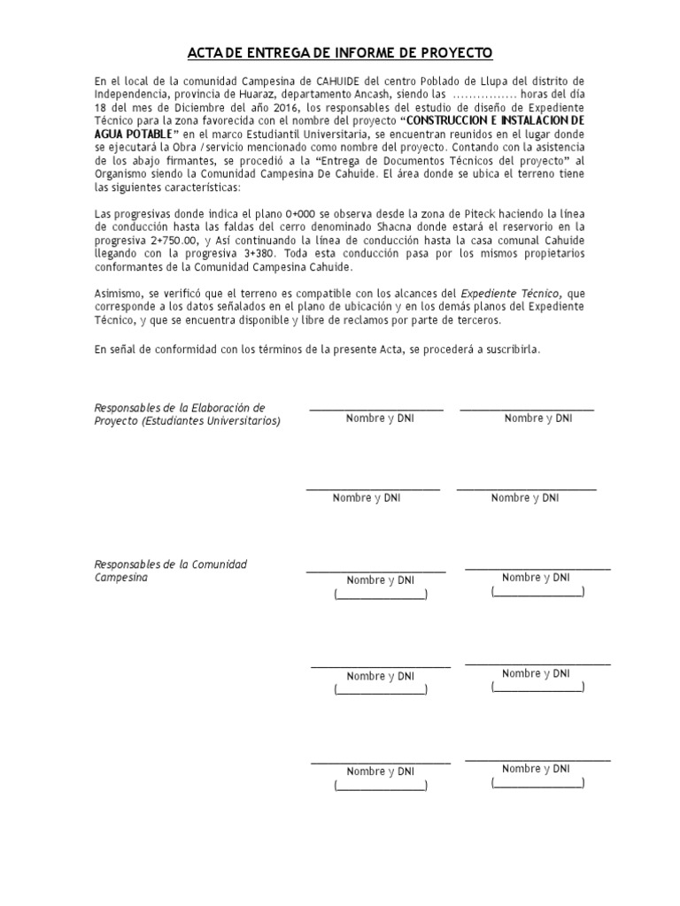 Acta de Entrega de Informe de Proyecto | Business
