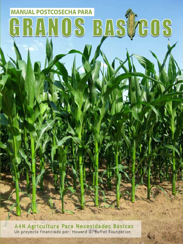 Manual Manejo Postcosecha de Granos Basicos | PDF | Cereales | Maíz