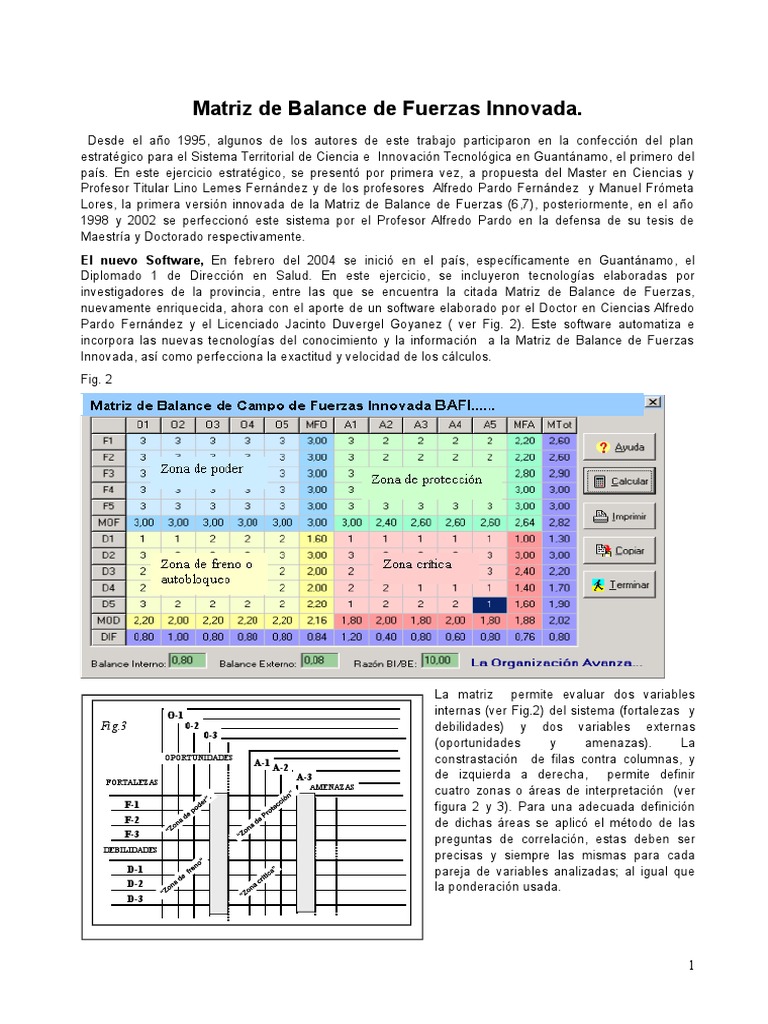 Matriz BAFI Metodologia | PDF | Creatividad | Matriz (Matemáticas)