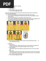 Bahaya Gangren Radix pada Gigi | PDF