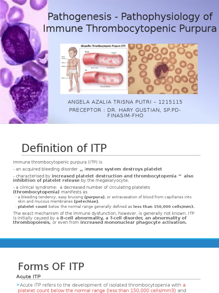 ITP Pathogenesis - pathophysiology By: Angela Azalia | Immune System ...
