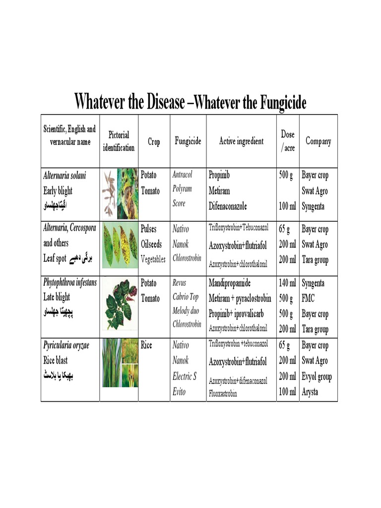 02 Diseases & Fungicides