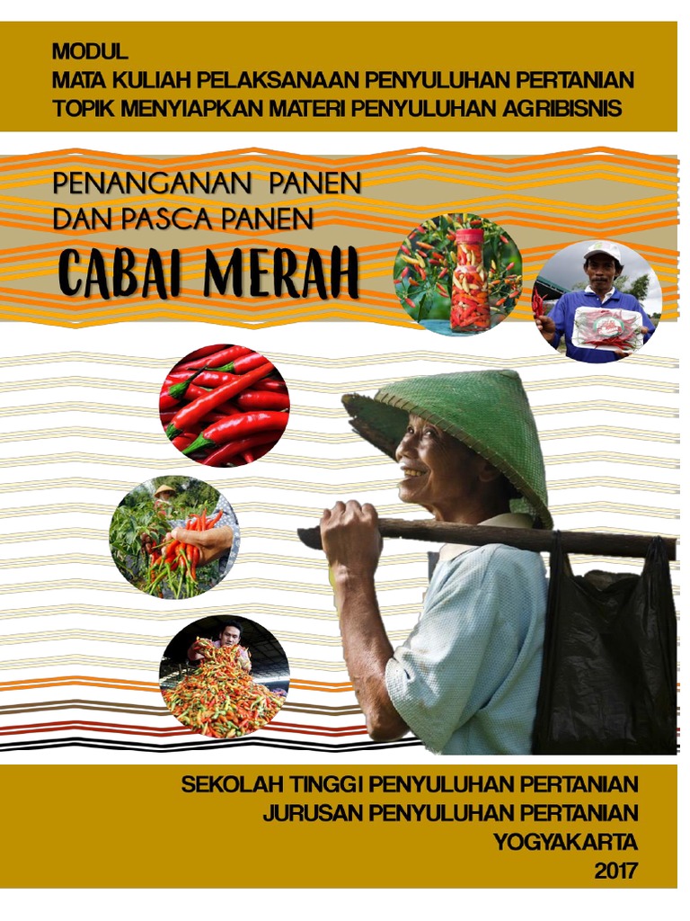 Modul Penanganan Panen Dan Pasca Panen Cabai | PDF