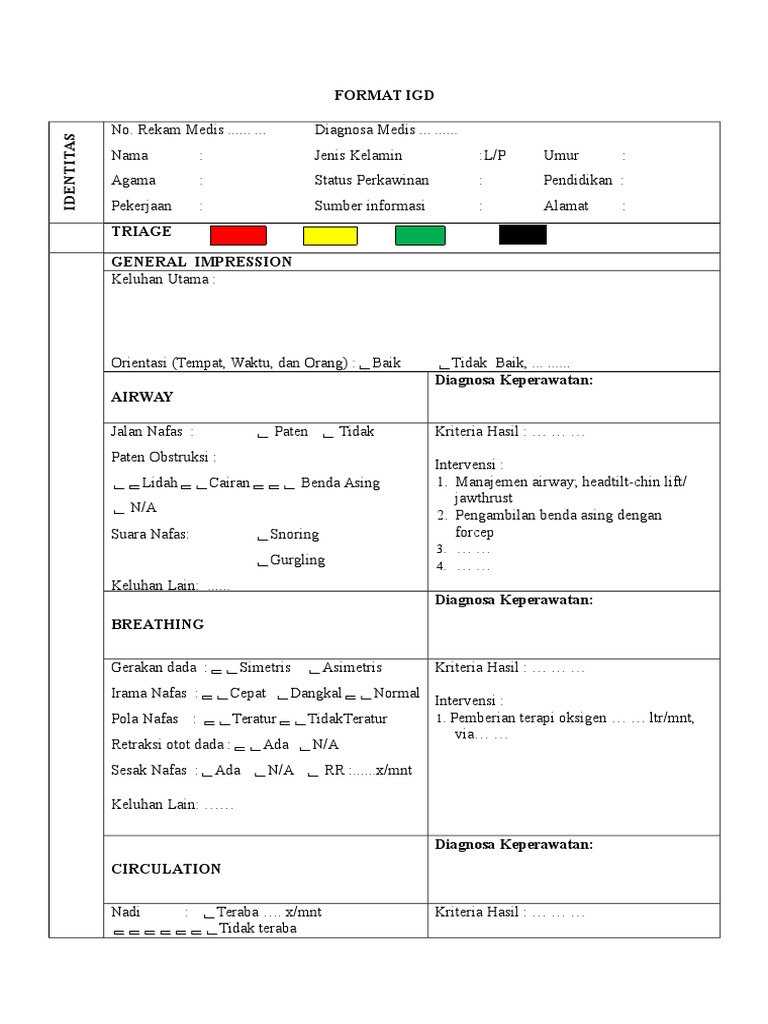Format Pengkajian Igd | PDF