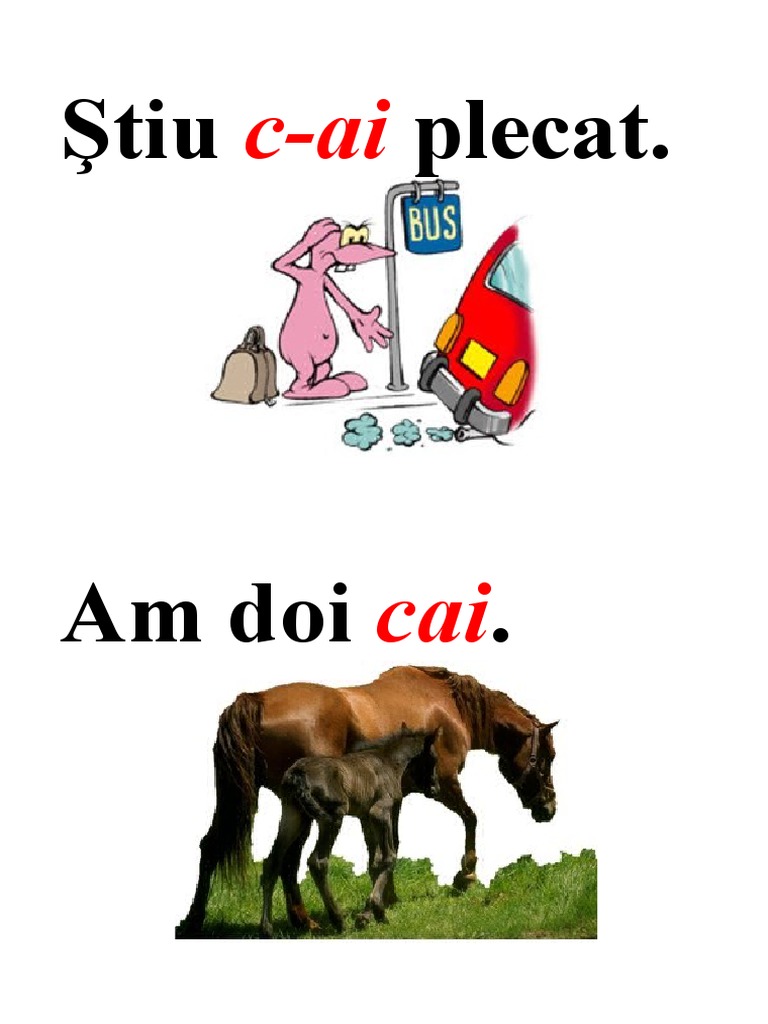 Planse Ortograme | PDF