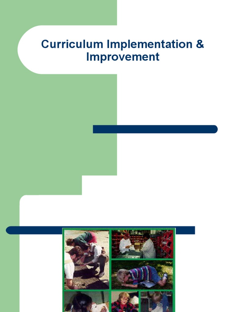 Curriculum Implementation Strategies | PDF | Curriculum | Innovation