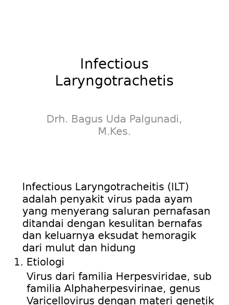 Infectious Laryngotrachetis (ILT) | PDF