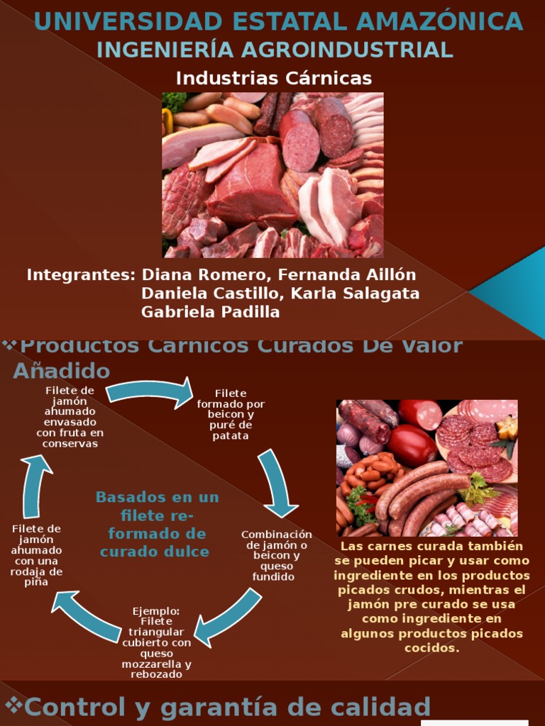 Productos Carnicos Curados | Nitrito | Curado (Conservación de Alimentos)