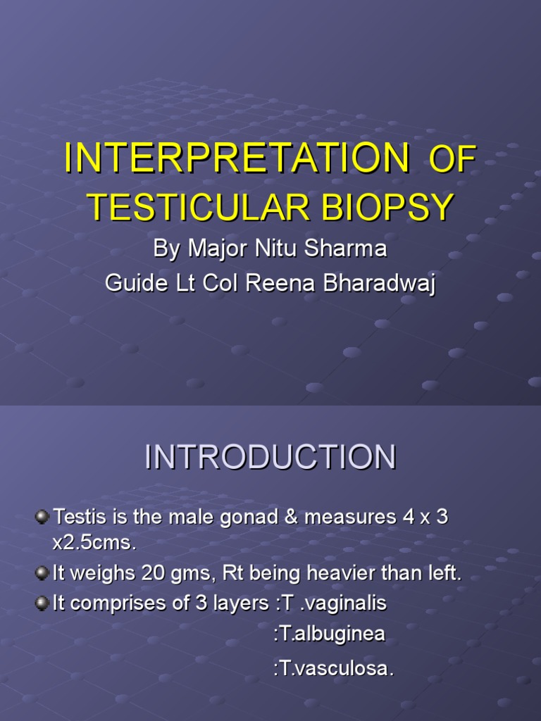 Interpretation of Testicular Biopsy1 | PDF | Testicle | Reproduction