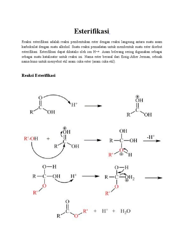 Esterifikasi | PDF