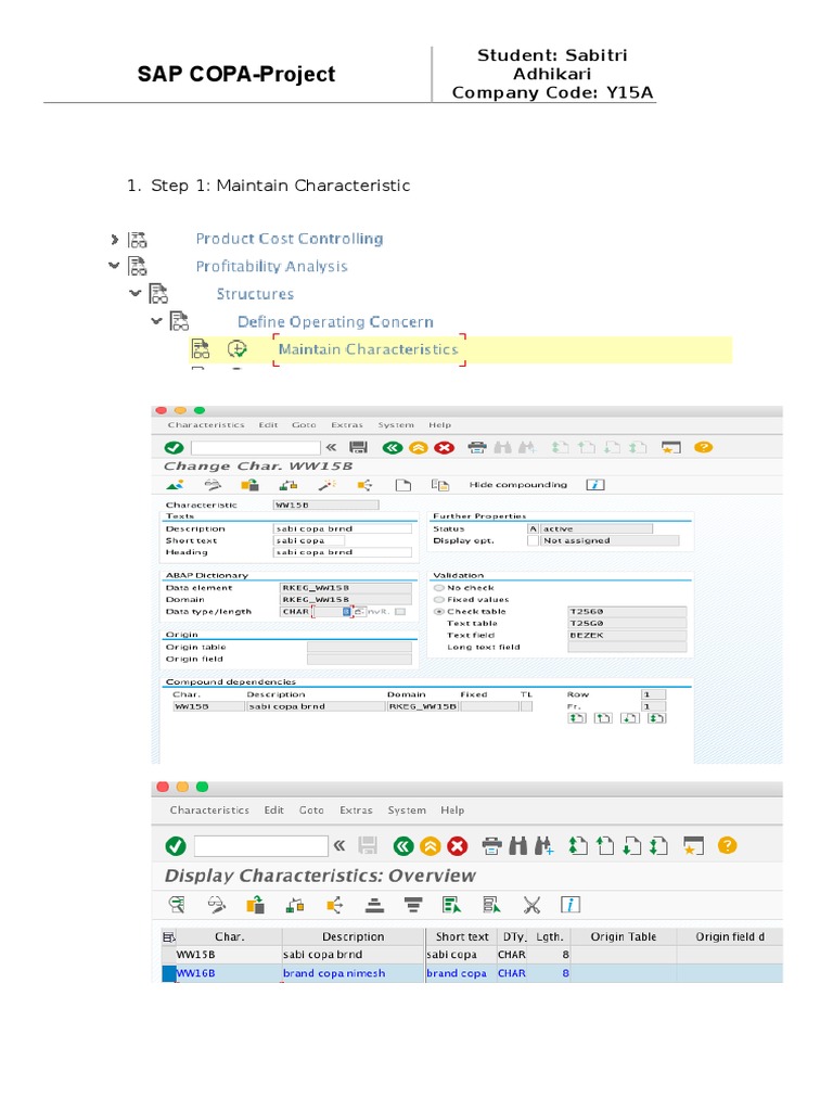 SAP COPA-Project: 1. Step 1: Maintain Characteristic | PDF | Business ...
