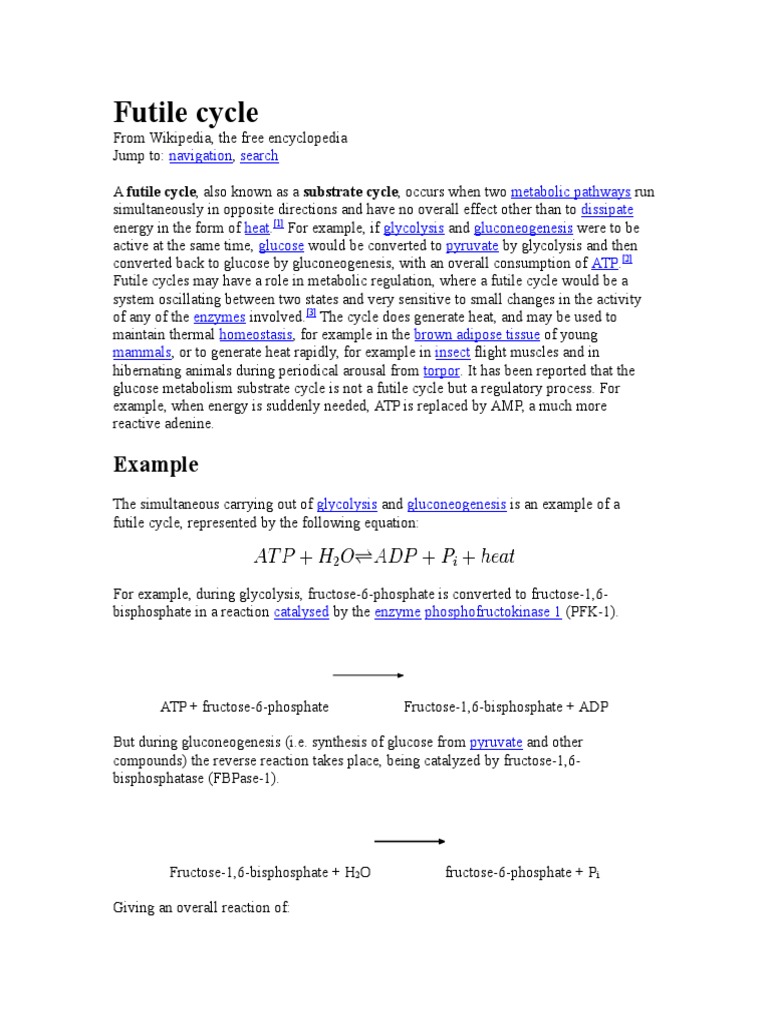 Futile Cycle | PDF