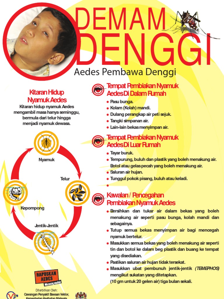 Poster Denggi BM 01 | PDF