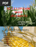 Partes de la Planta de Maíz | PDF | Hogar, jardinería y bricolaje ...