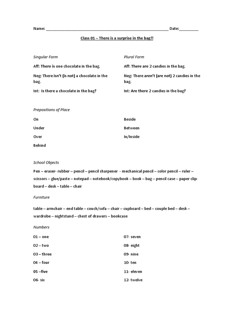 Class 01 - There Is A Surprise in The Bag!!: Singular Form Plural Form ...