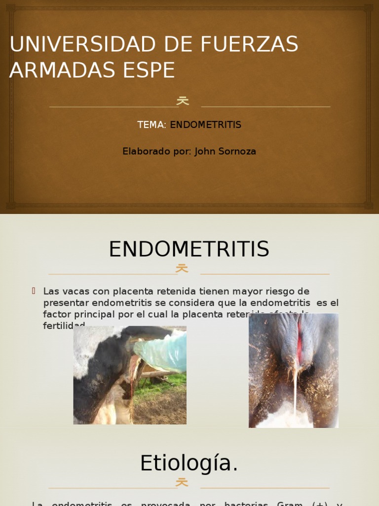Endometriti S | PDF | Parto | Vacas