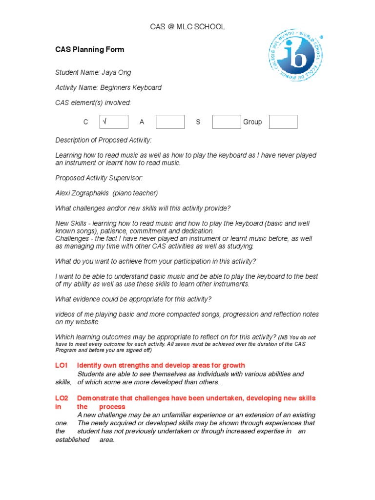 Cas Planning Form Keyboard | PDF | Education Theory | Epistemology