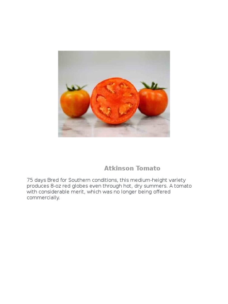 Atkinson Tomato: Left Center Right | PDF | Watermelon | Tomato