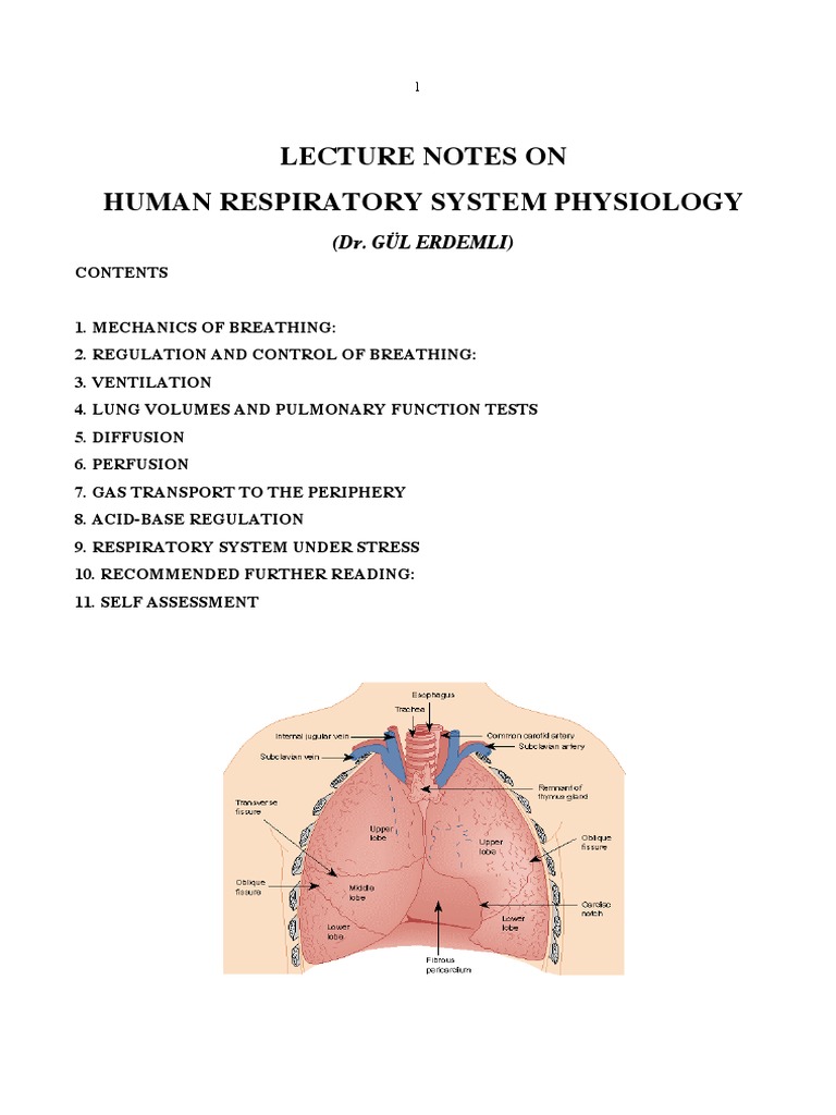 Lecture Notes On Respiratory Physiology PDF | PDF | Lung | Respiratory ...